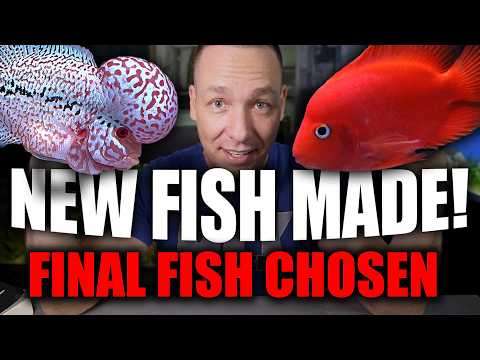 Выбрать лучшего цветоноса!!! Король самоделок