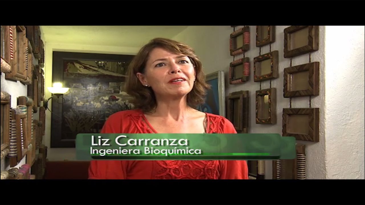 Tu Escuela Superior de PNL | Liz Carranza - YouTube