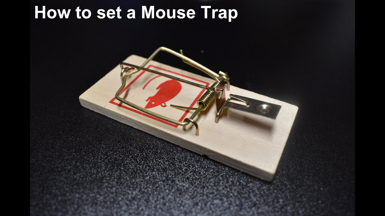 How to set a mouse trap - Classic wooden type - YouTube