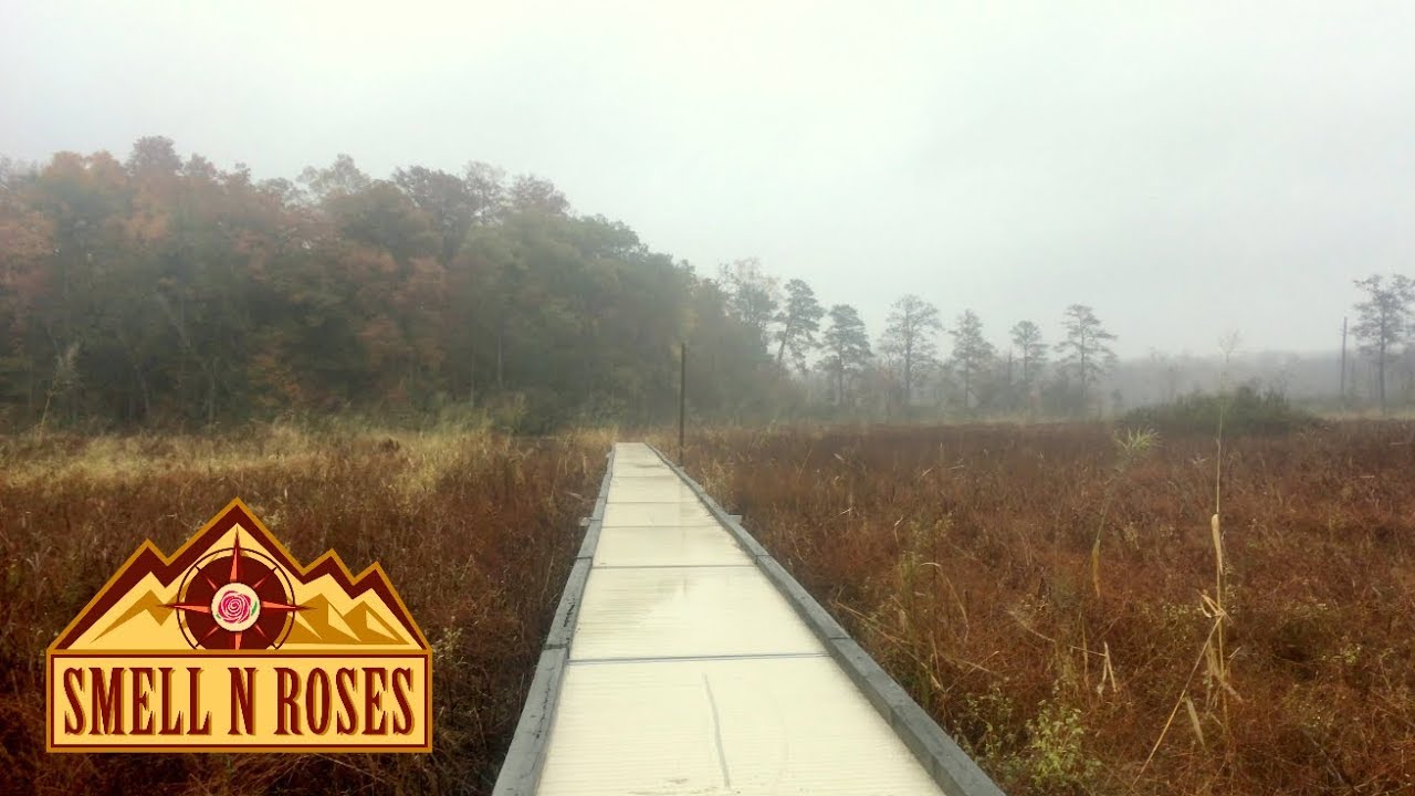 Floating Boardwalk Marsh Trail at Dodd Park, Chesterfield, Virginia ...