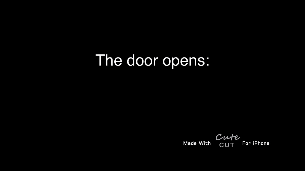 Every dog ever - YouTube