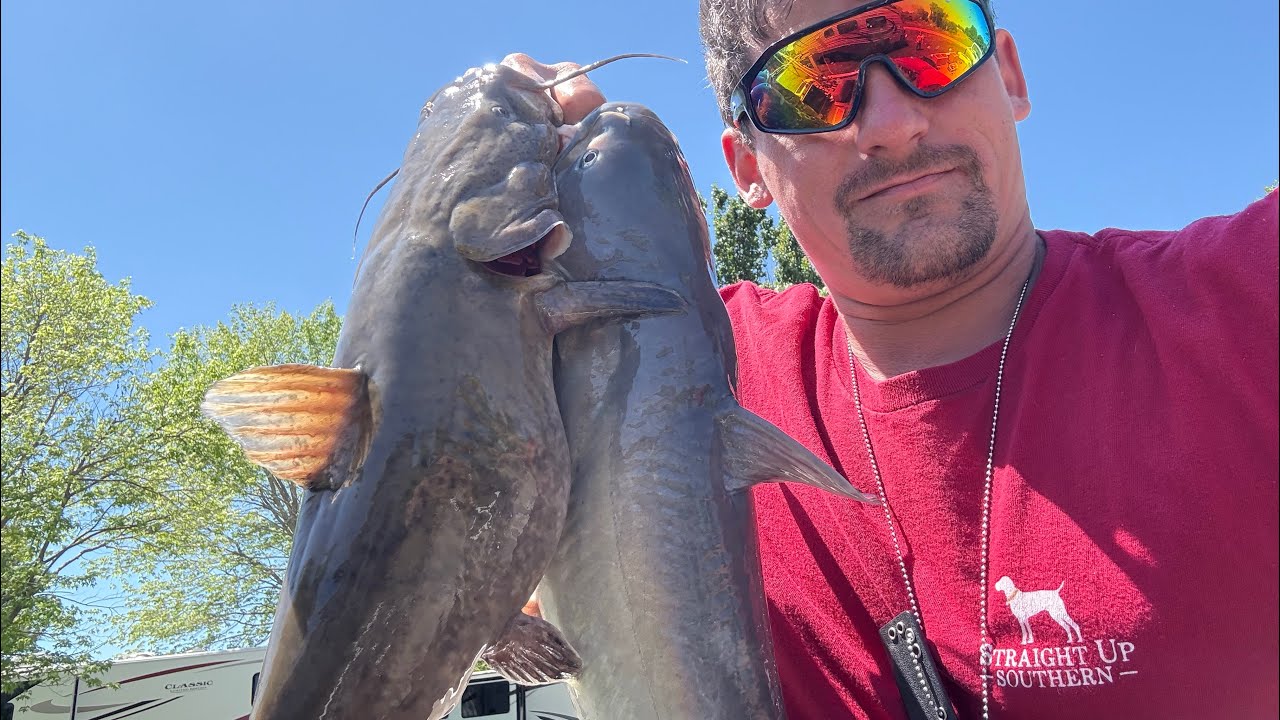 Ate up with (CATFISH FEVER) - YouTube