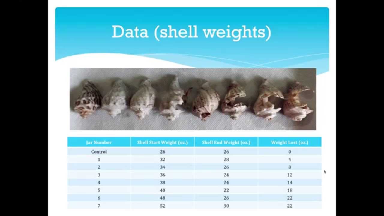 GWUOHS Biology Honors Project: Effects of Ocean Acidification on ...
