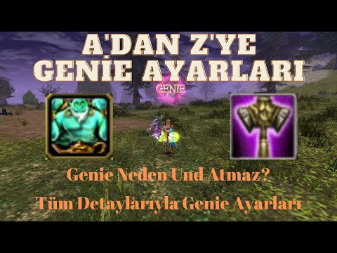 Genie Ayarları | Karakterlere Özel Bilgiler | Püf Noktalar