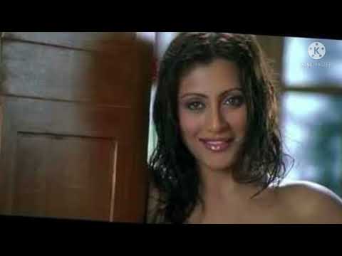 shikdum full song