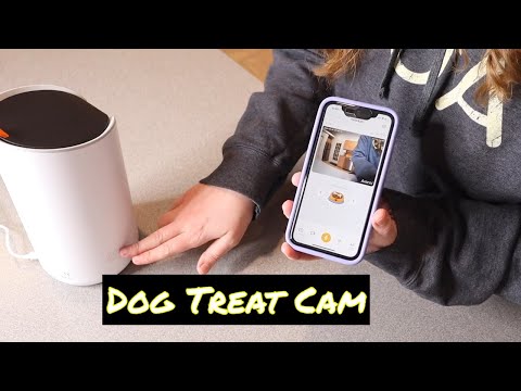 Arenti Dog Treat Camera Review | Two Way Audio with Dog Barking Alerts