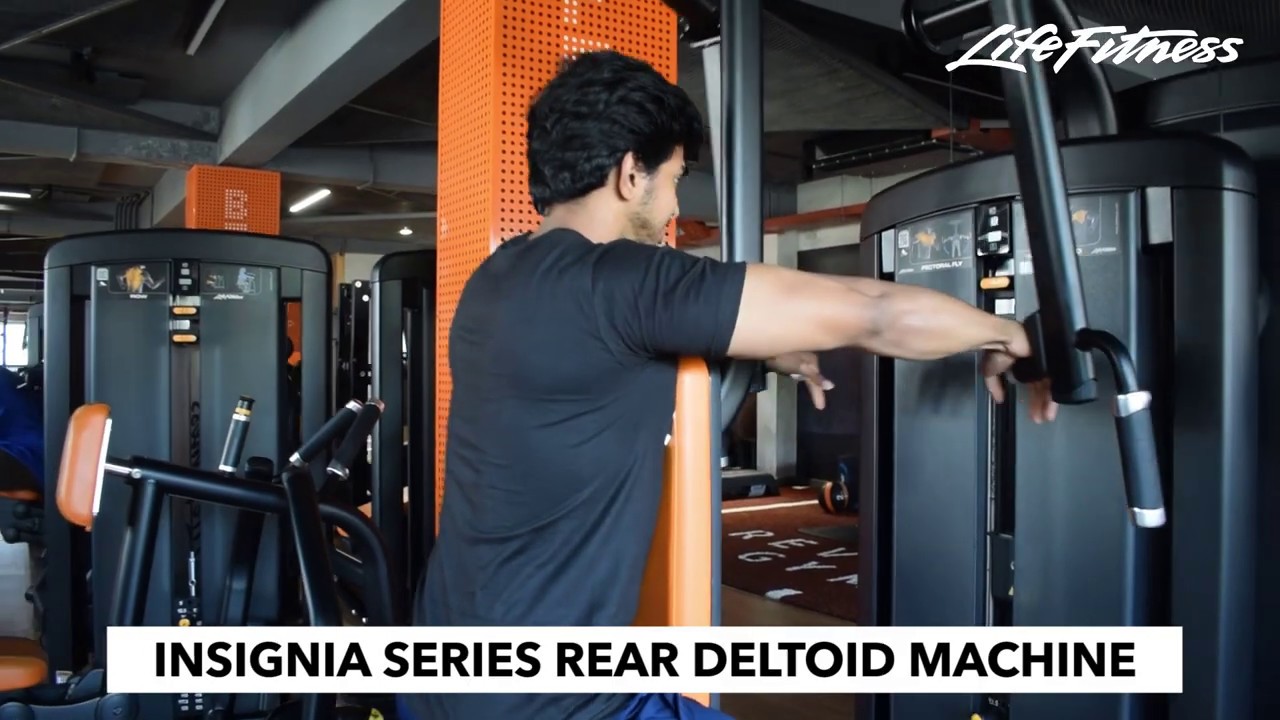 Insignia Series Rear Deltoid/Pec Dec Fly Machine - YouTube