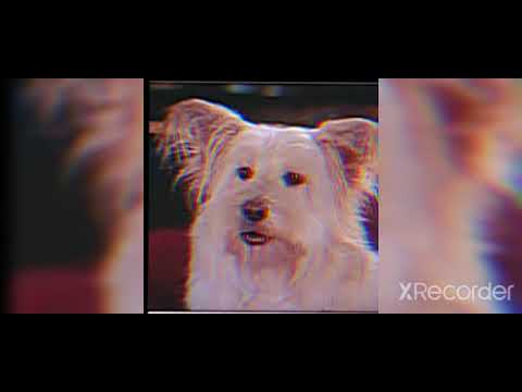 video para:P Diggy 💞 - YouTube