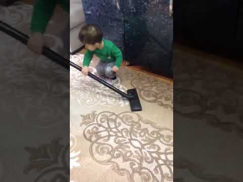 Bibinin ureyi bal balam