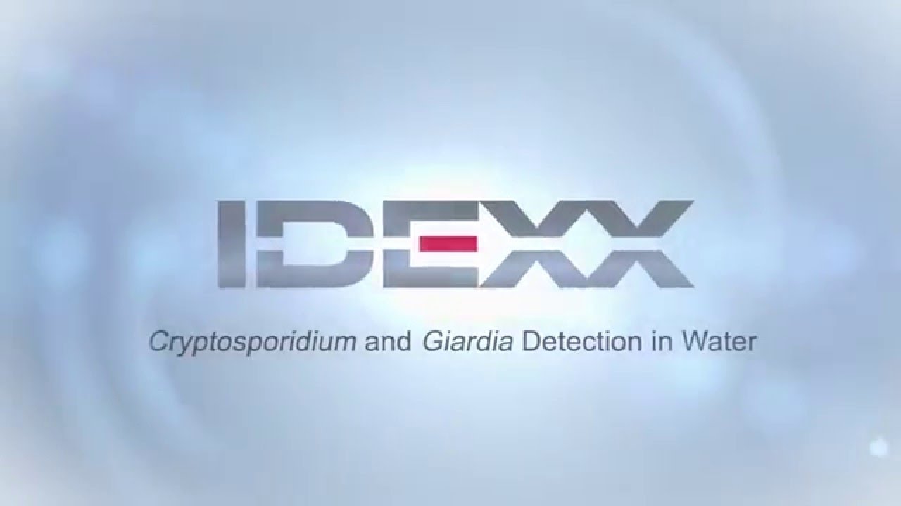 IDEXX Filta Max express: Step 2 Elution - YouTube