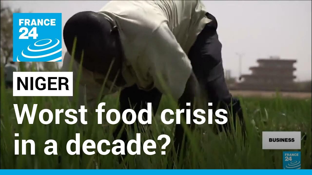 Niger could face worst food crisis in a decade • FRANCE 24 English ...