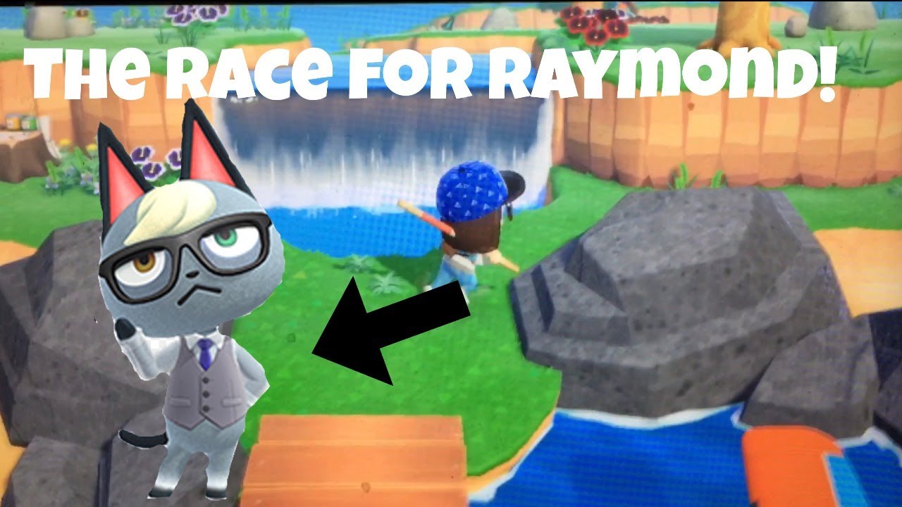 The Race for Raymond - we found him (Animal Crossing New Horizons ...