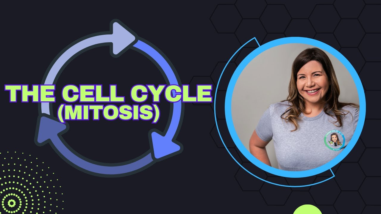 The Cell Cycle - Mitosis (Bio Ch. 12) - YouTube
