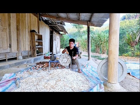 Go dig cassava roots, bring them back to dry, and use them as animal ...