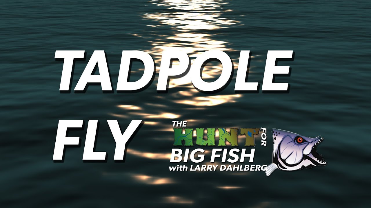 How to make a Tadpole Fly - YouTube