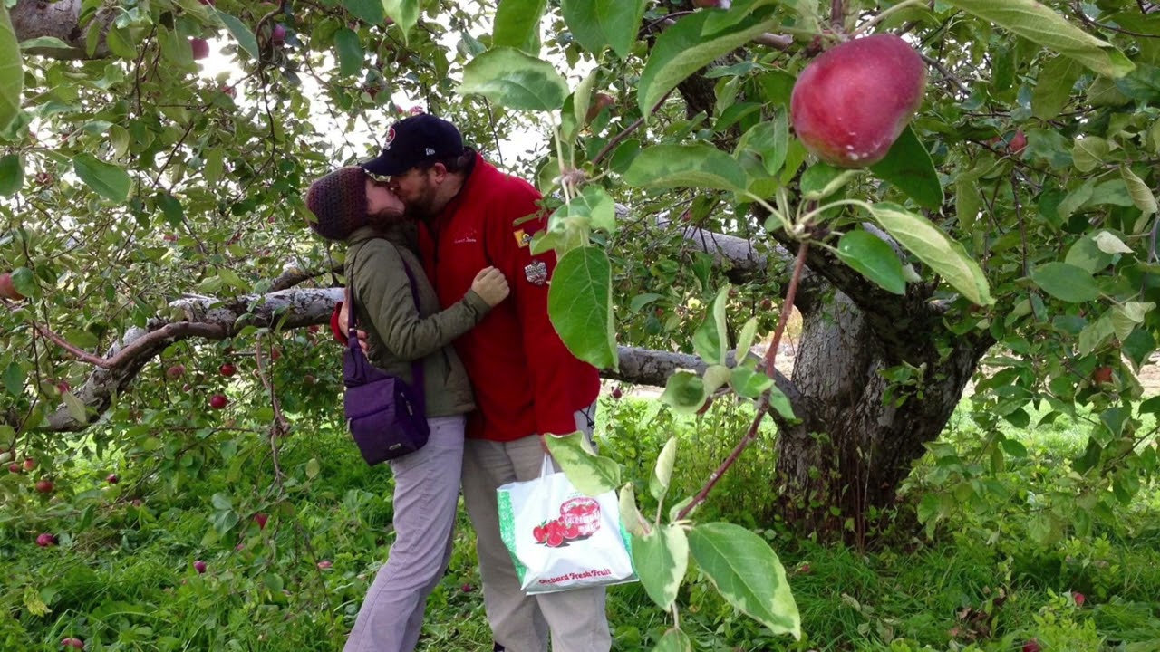 Apple Tree - YouTube