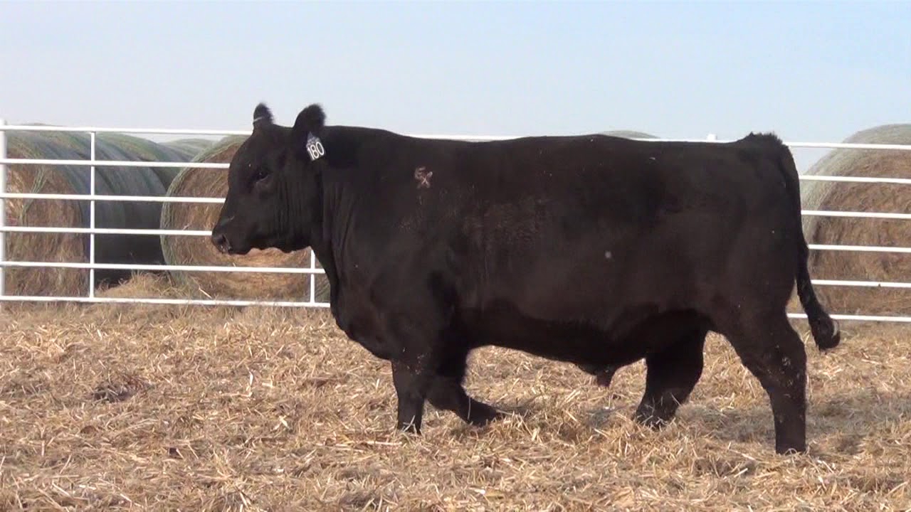 Express Ranches Lot 180 - YouTube