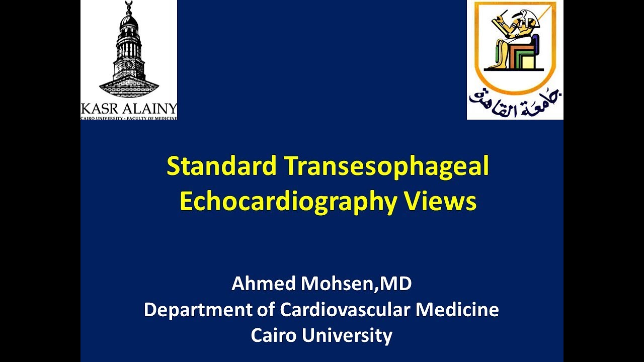 Standard Transoesophageal Echocardiography (TEE/TOE) views - YouTube
