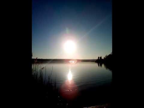 😍трени масло сад морковь 😍 Счастье Здоровье достаток Любовь 😍 добробут ...