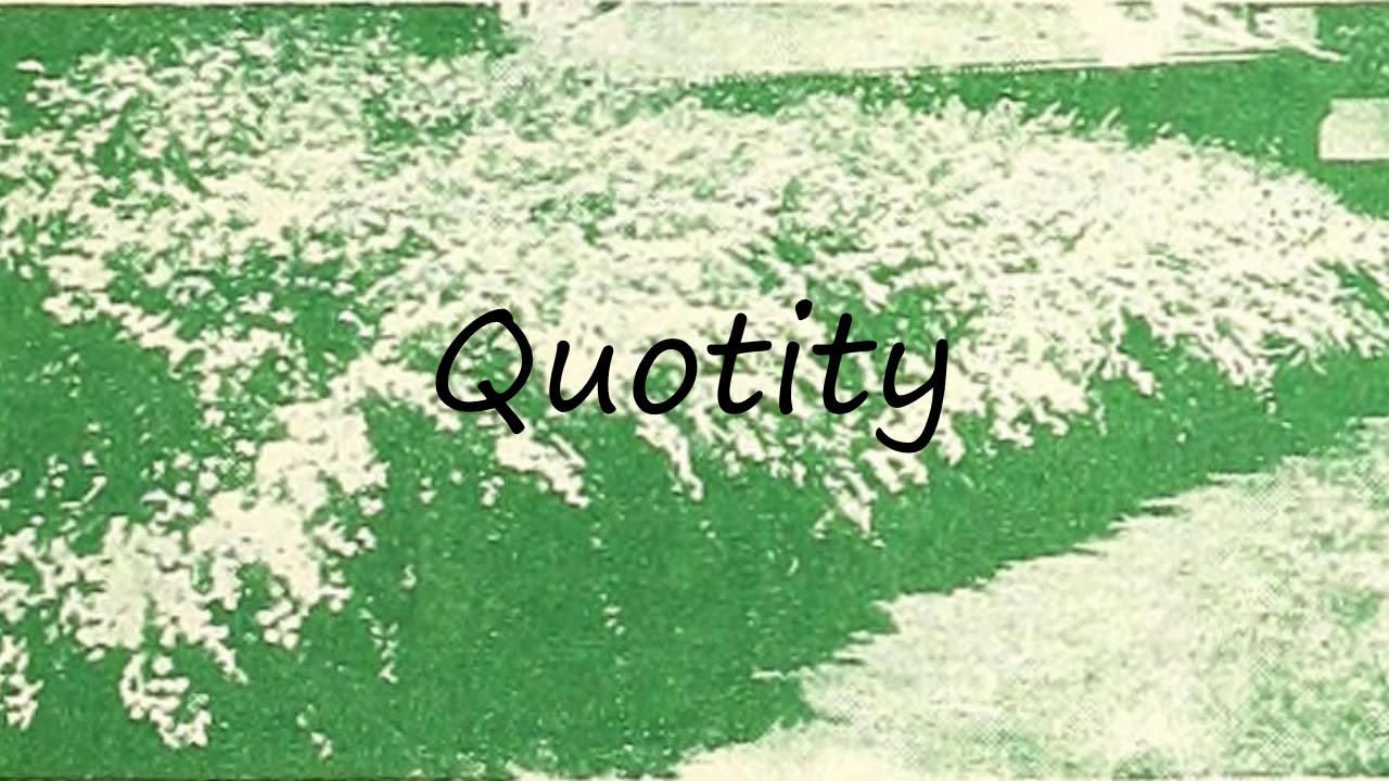 How to Pronounce Quotity? - YouTube