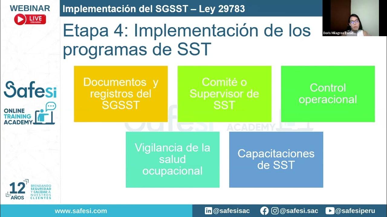 Webinar: Implementación del SGSST, Ley 29783 - Perú - YouTube