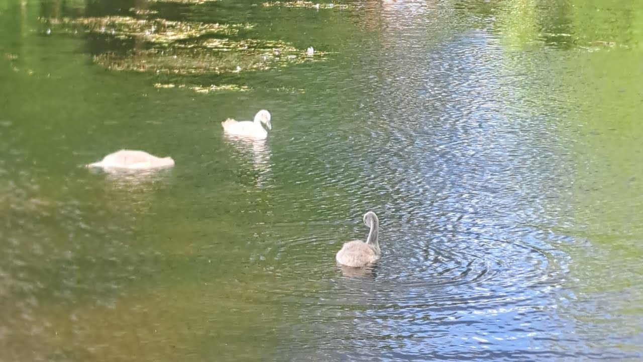 Something Beautiful - YouTube