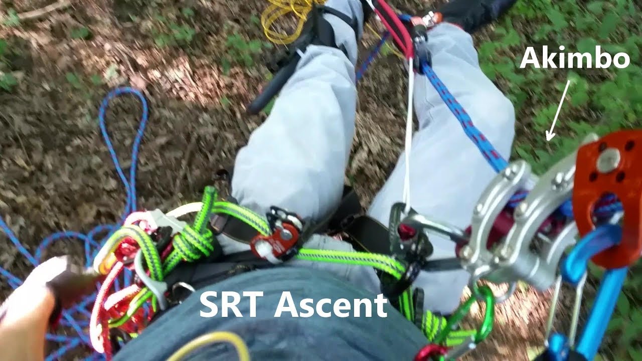 Akimbo SAKA SRT Tree Climb & Bomb - YouTube
