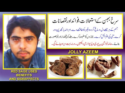 behman surkh ke fayde aor nuqsanat | red sage herb uses benefits and ...