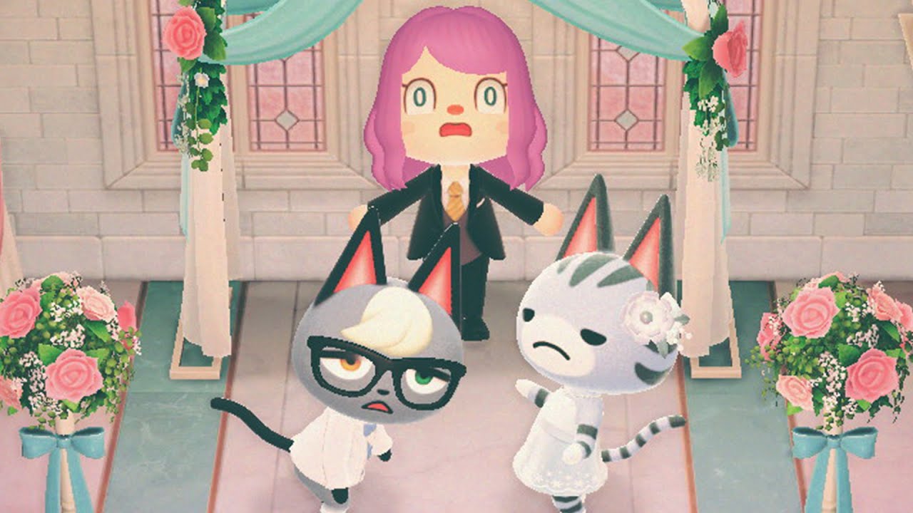 Best Animal Crossing New Horizons Clips #49 - YouTube