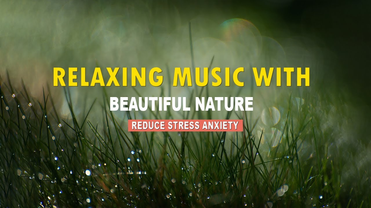 Relaxing music with videos of beautiful nature reduce stress anxiety ...