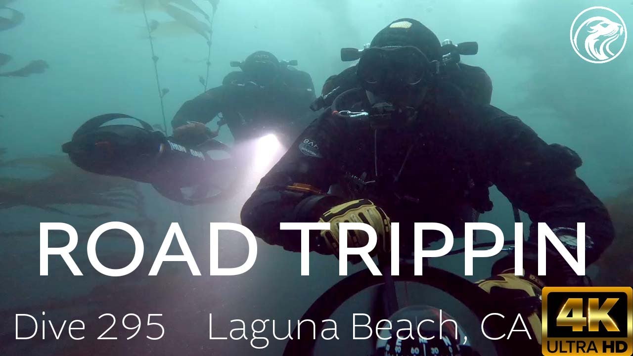 SCUBA Road Trippin Through Laguna Beach - Crescent Cove - 2024 - YouTube