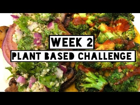 WEEK 2 | 21 DAY PLANT BASED CHALLENGE - YouTube