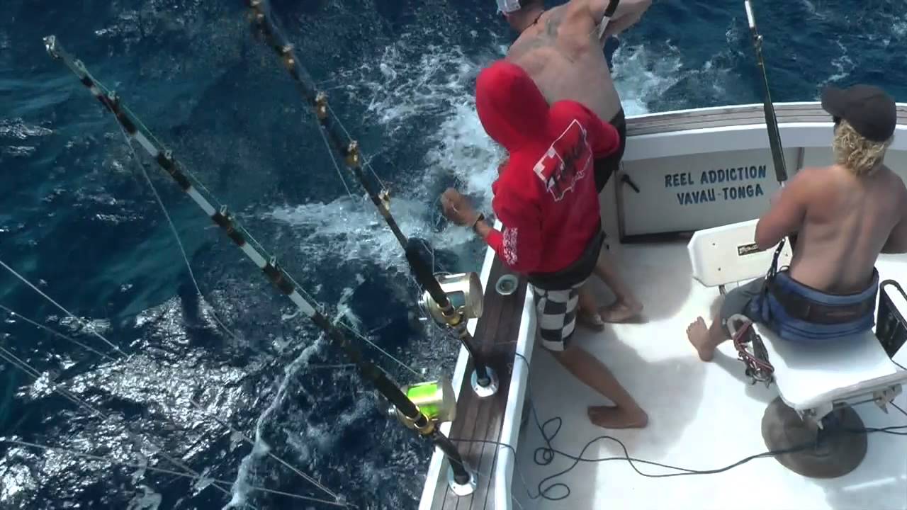 Tonga Fishing Trip 2014 - YouTube