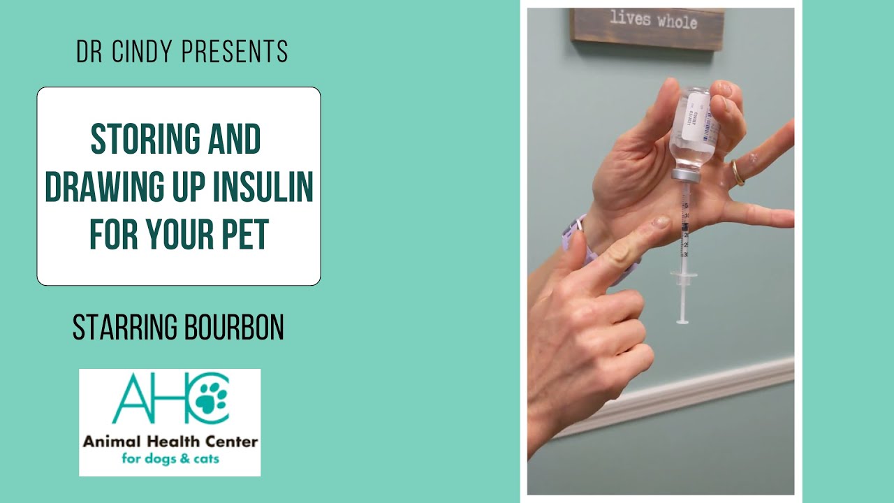 Storing and Drawing up Insulin for your Pet - YouTube
