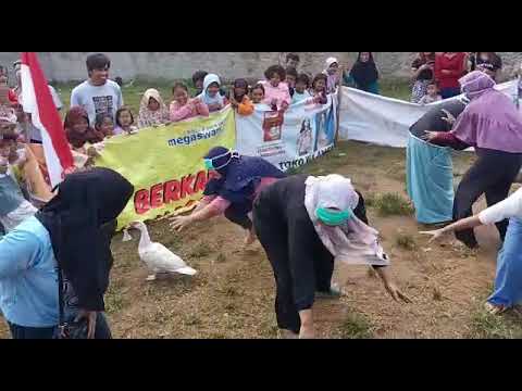 ngintip..mamah muda lomba Agustusan nangkap itik,bikin gemparr netizen 🤫