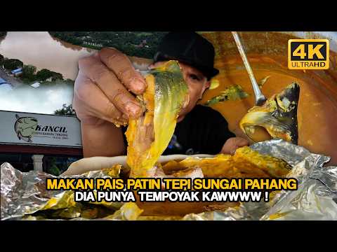 Singgah TEMERLOH Pekena IKAN PATIN, Kedai LAMA Sejak 2003 (4K)