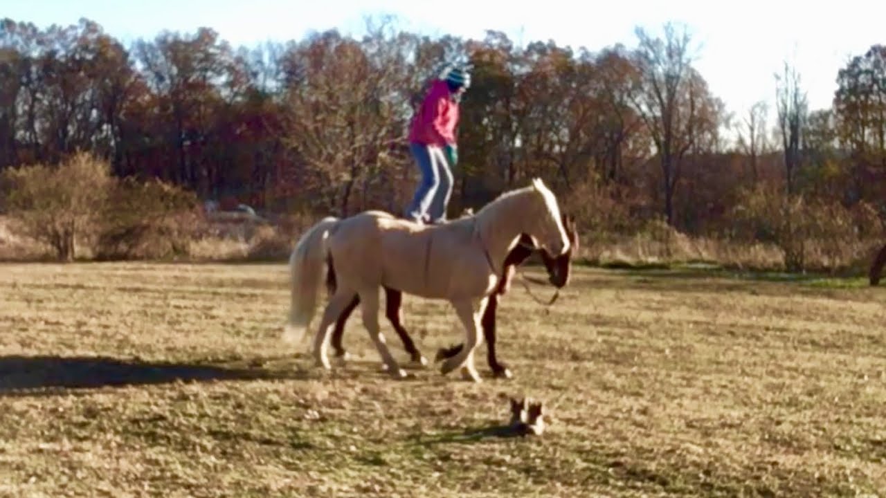 Roman Riding Day 2 - YouTube