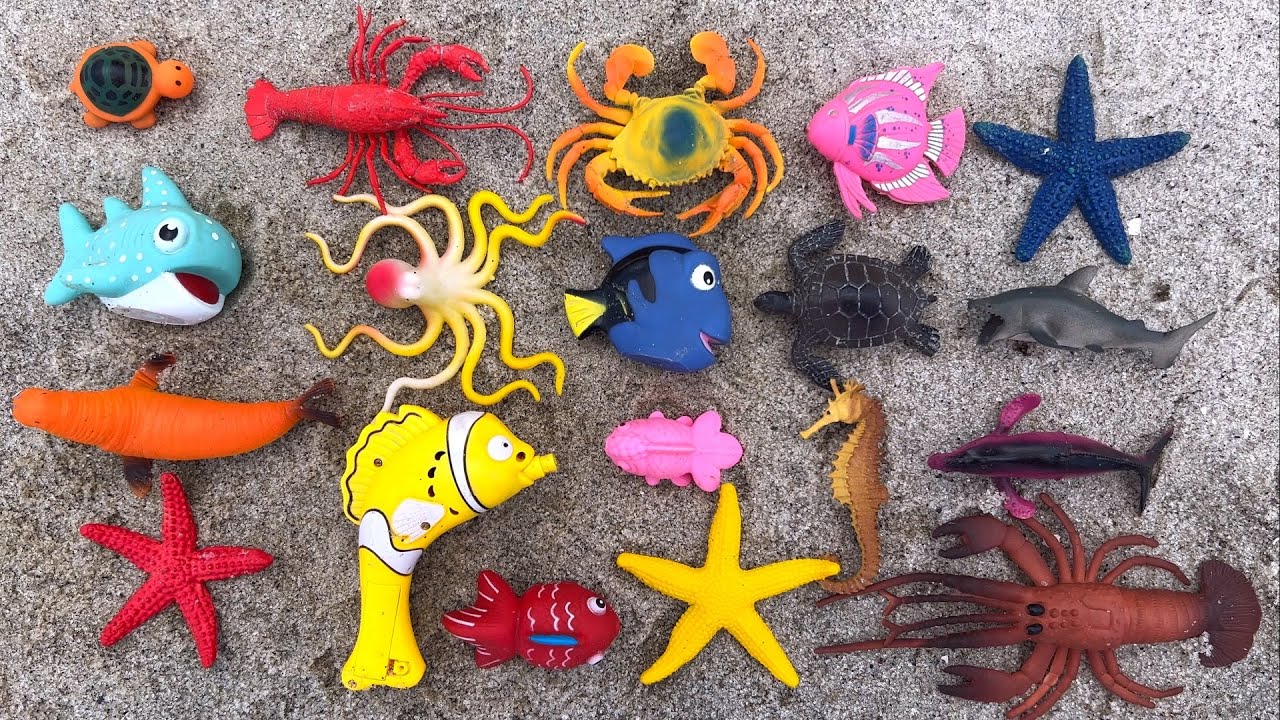 Learn Name Sea Animals Crab Starfish Octopus Shark Clown Fish Sea ...