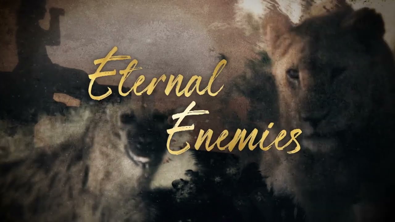Eternal Enemies - Trailer - Wildlife Films - National Geographic - YouTube