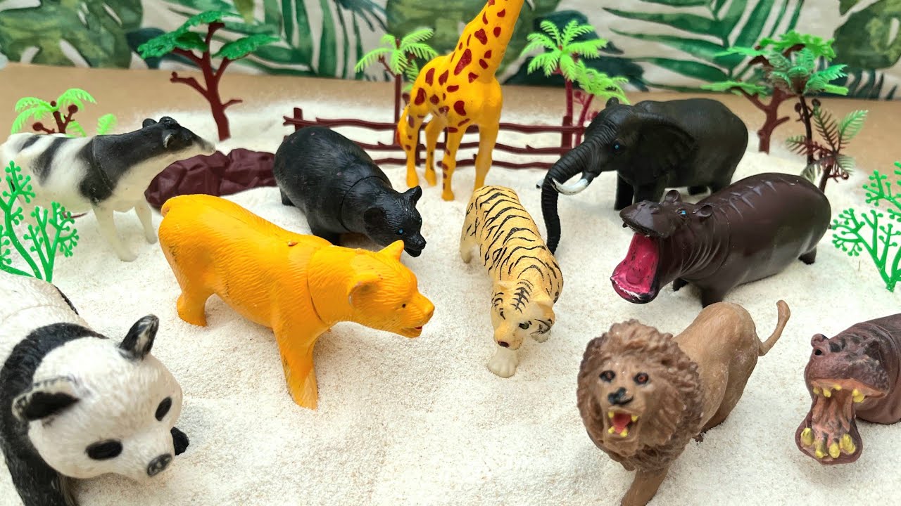 Zoo Animals for Kindergarten|Learn animal names and sounds| Wild Animal ...