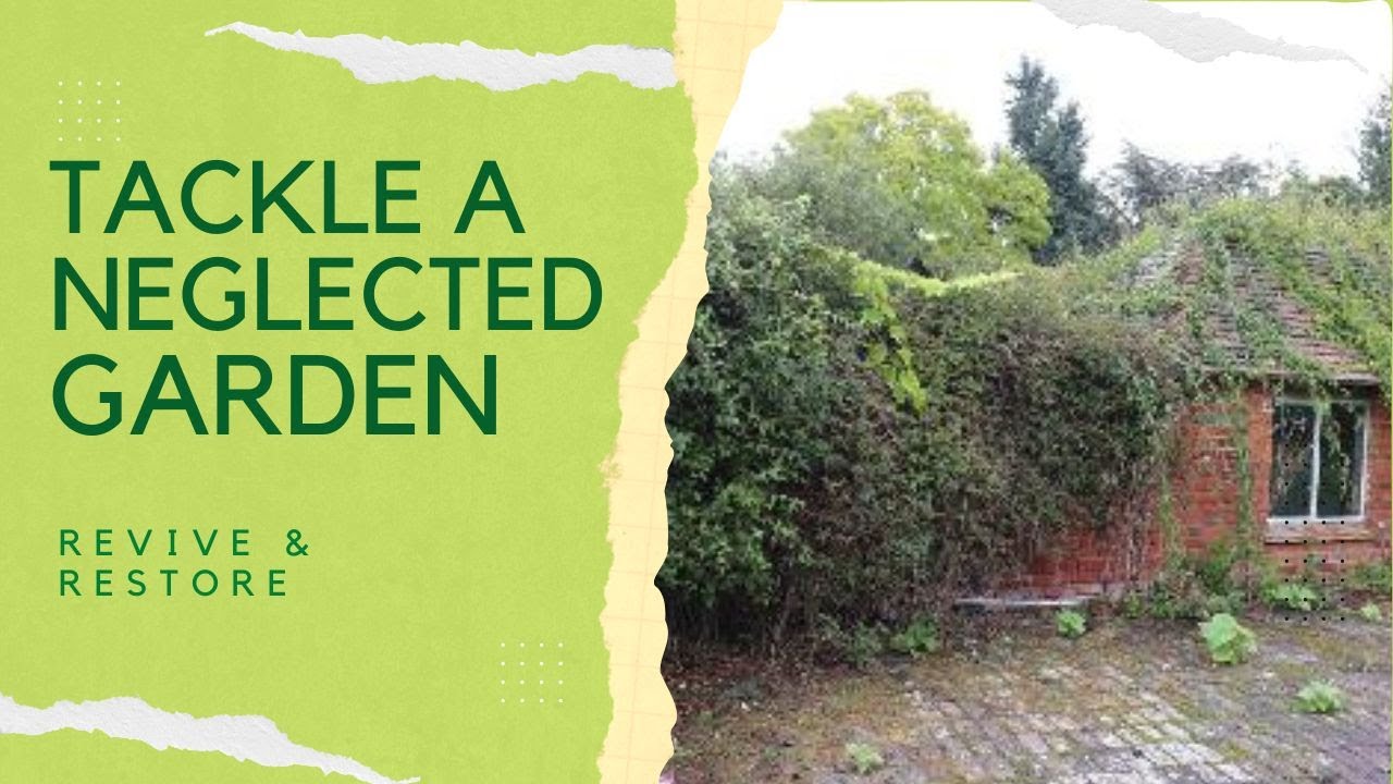 Where do you start with a neglected garden? With before and after ...