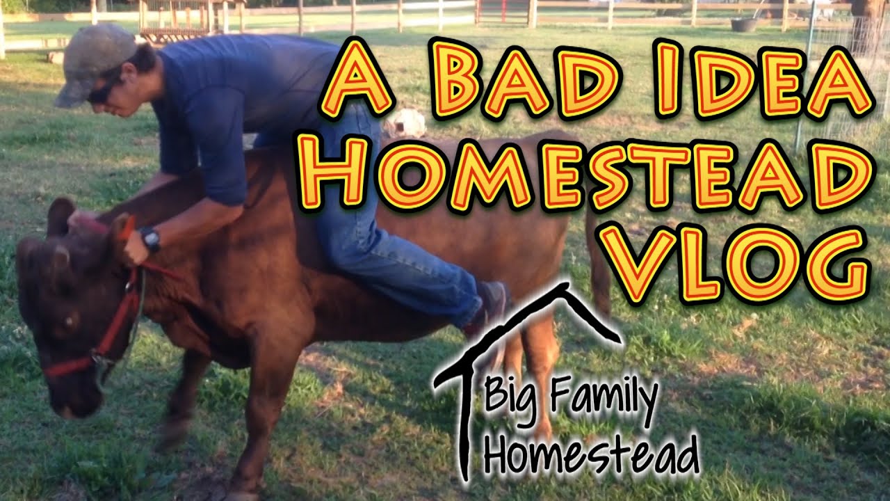 A Bad Idea Homestead VLOG - YouTube