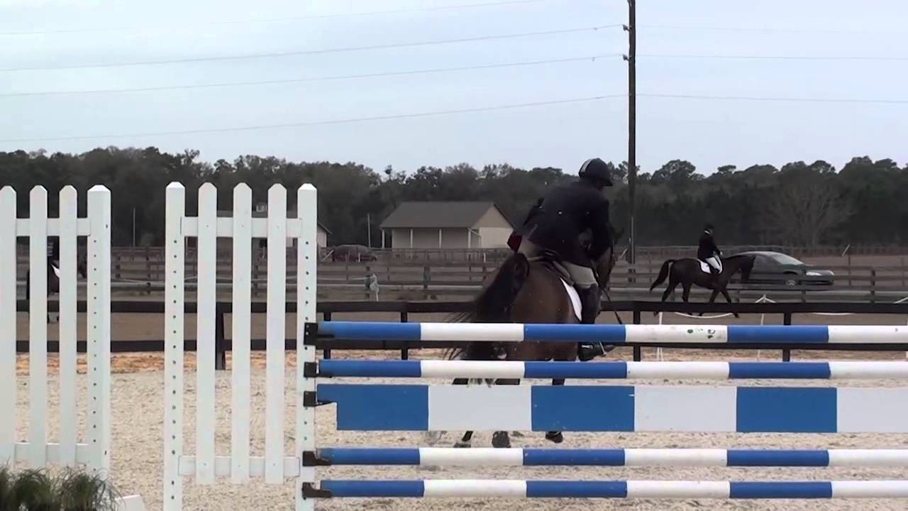 Randy Ward & Grando Rocking Horse Winter 3 Preliminary Horse Trials ...