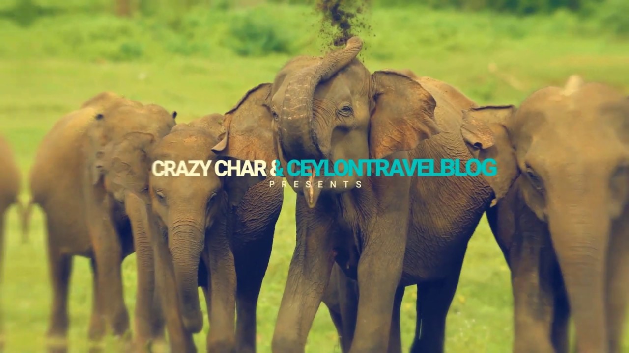 Travel Blog Intro - YouTube