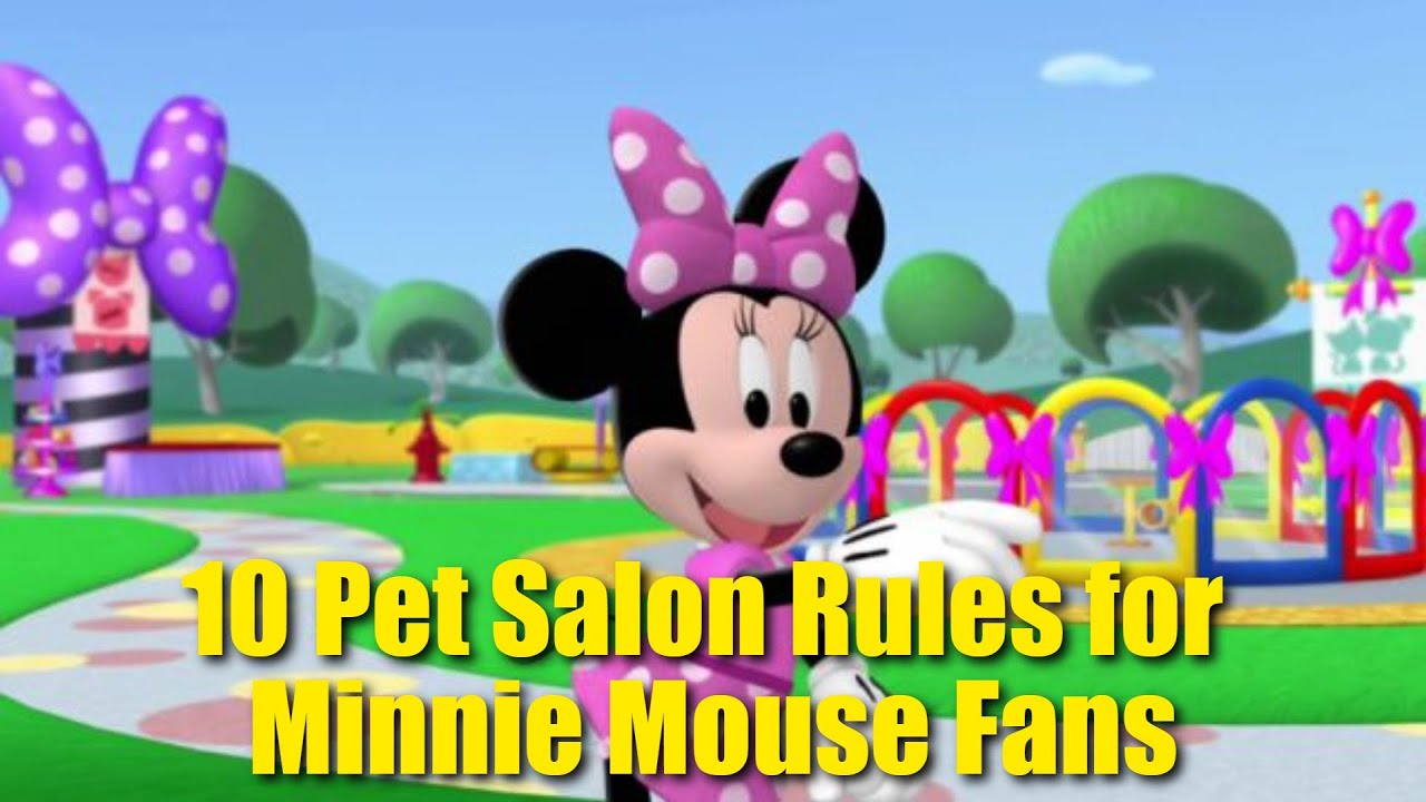 Mickey Mouse Clubhouse Minnie's Pet Salon - 10 Pet Salon Rules for ...