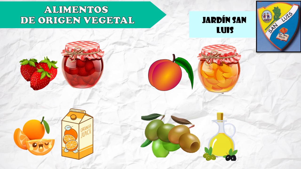 Alimentos origen vegetal - YouTube