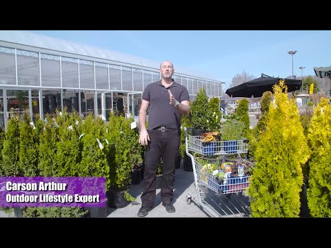 TERRA Presents Carson Arthur - 3 Rules of 3 for Garden Design - YouTube