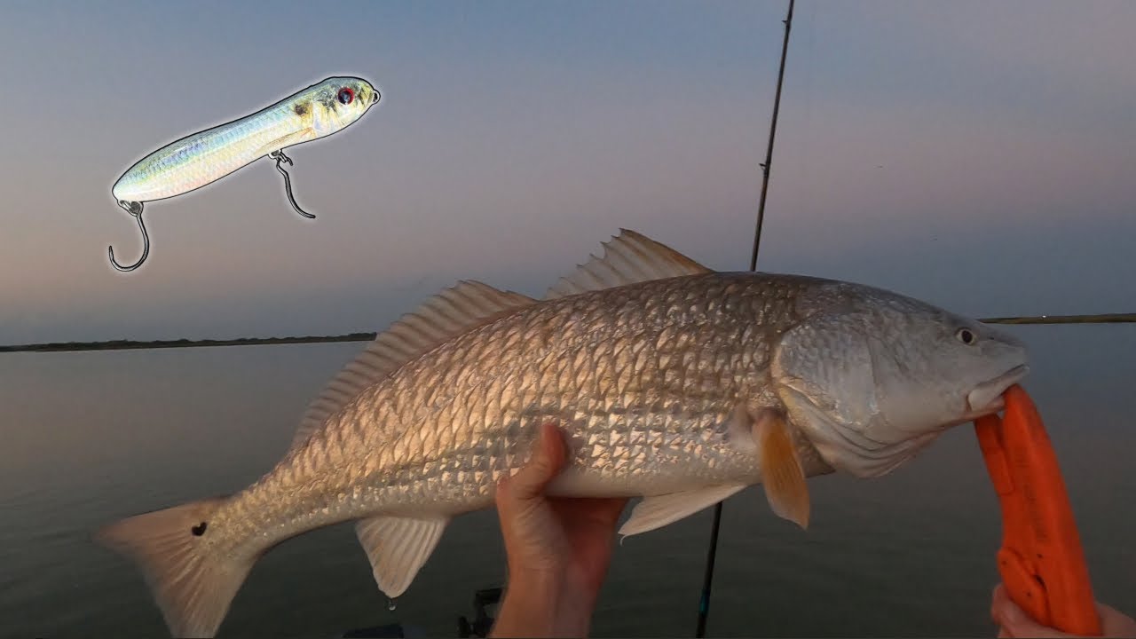 Red Fishing With The Wolf. Wolf's Fishing - YouTube