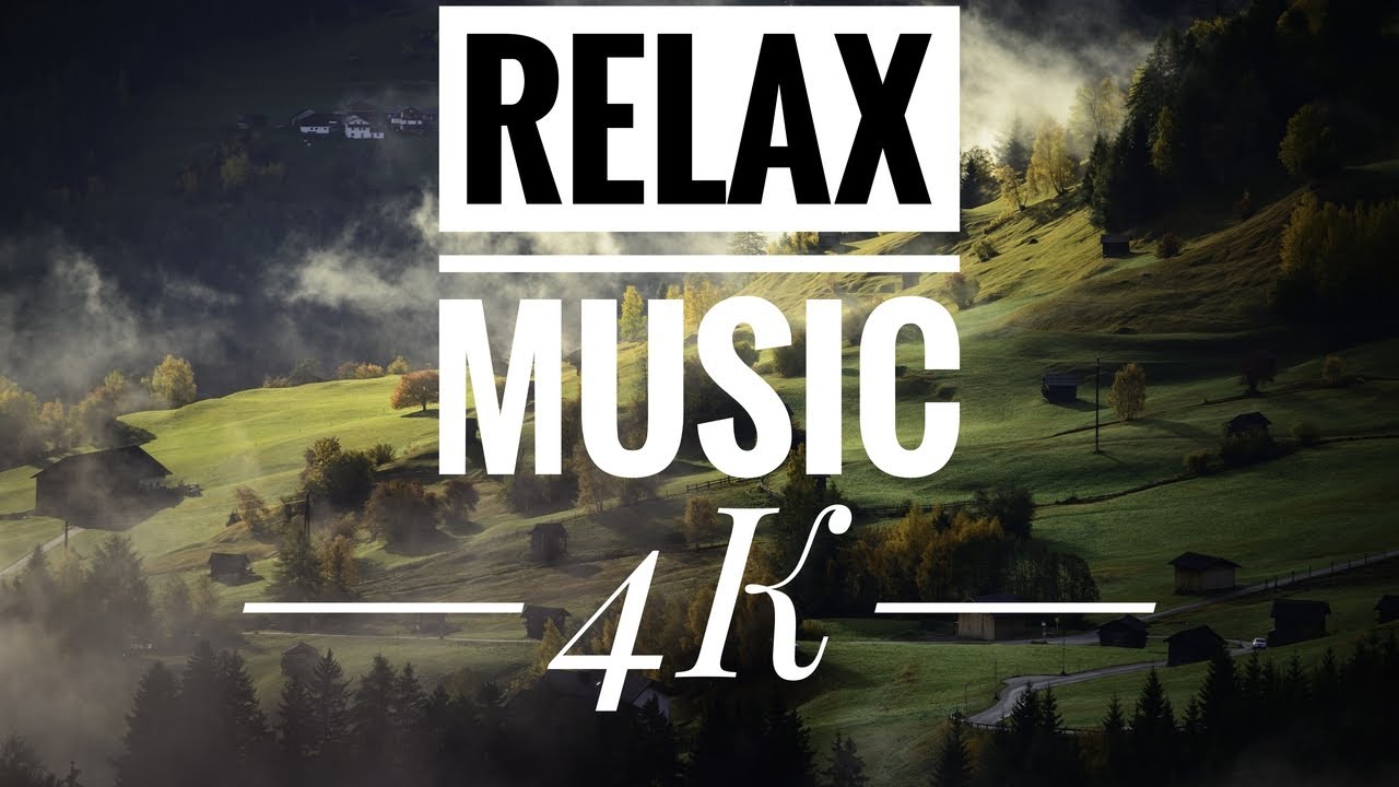 Relaxing Music, Forest Music, Educational Music, Meditation Music,Music ...