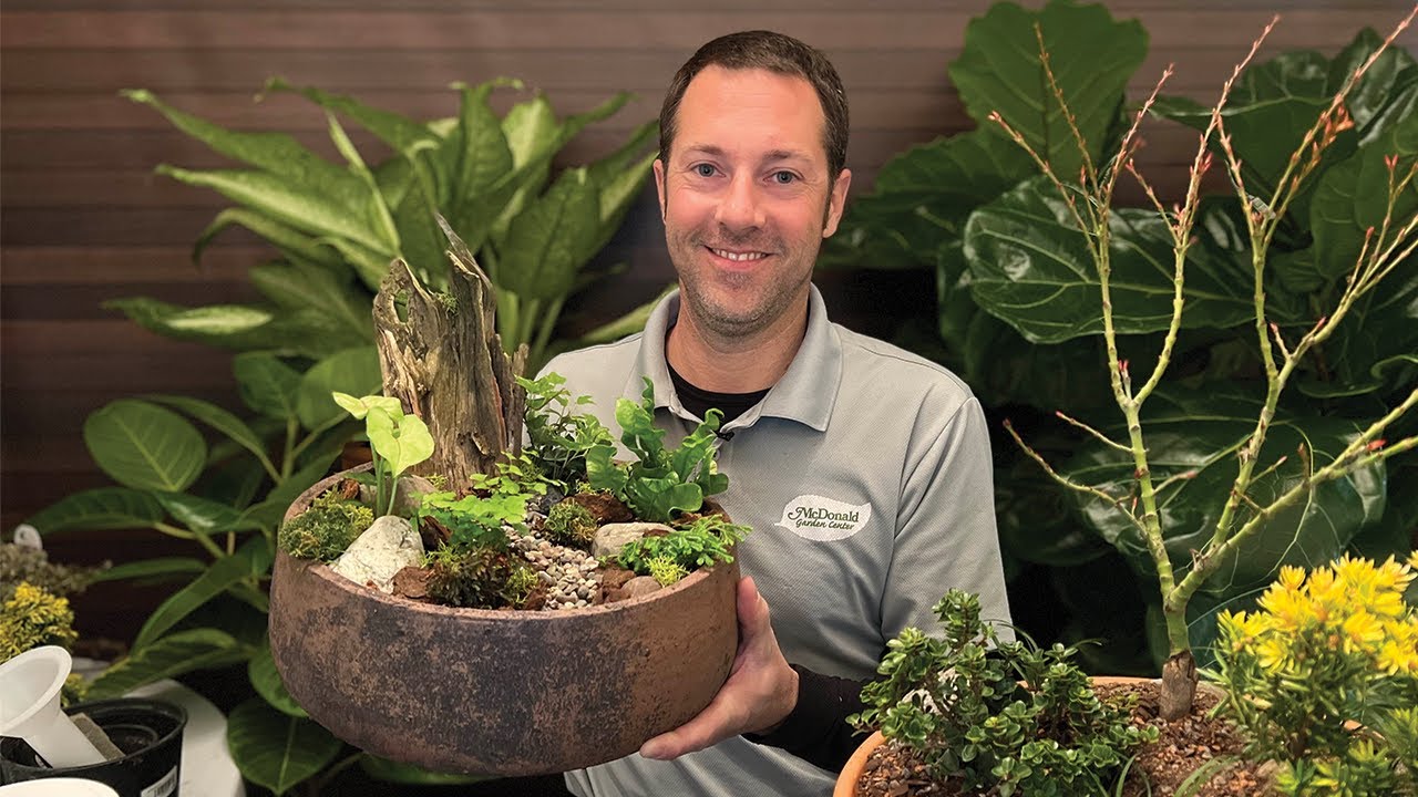 How to Create a Miniature Garden - YouTube